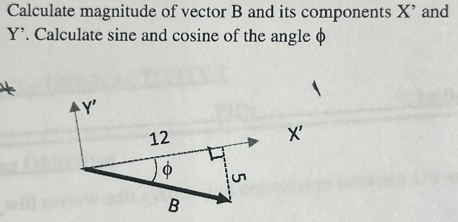 Solved Calculate magnitude of vector B and its components x' | Chegg.com