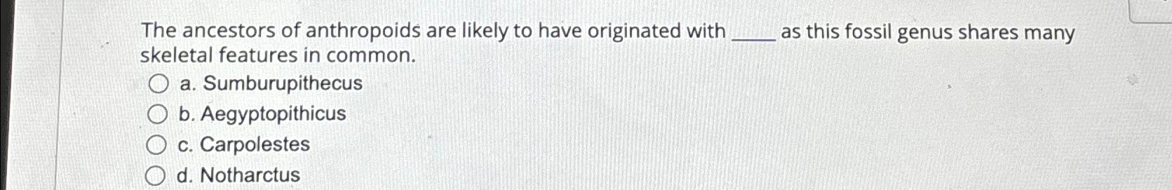Solved The ancestors of anthropoids are likely to have | Chegg.com