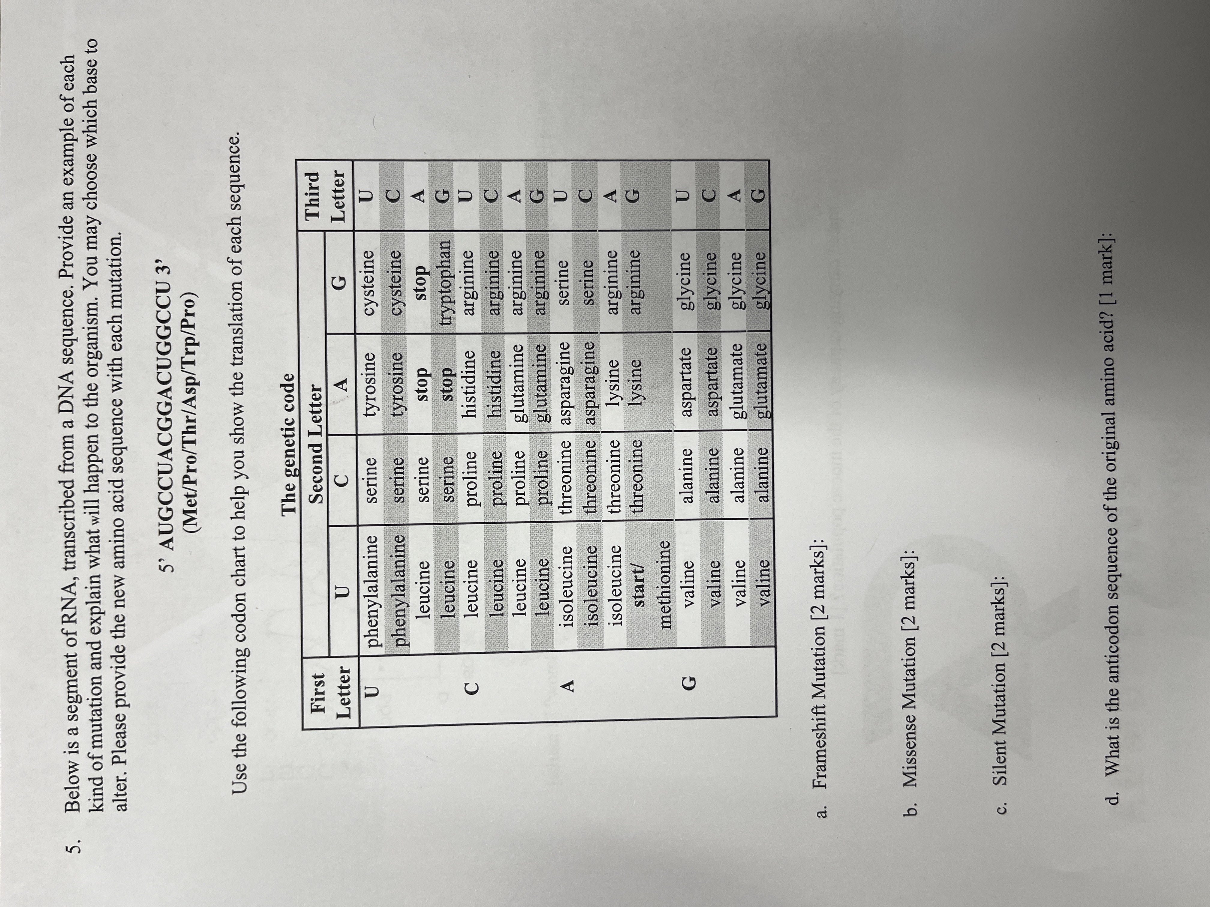Solved below is segment of rna ,transcribed from a dna | Chegg.com