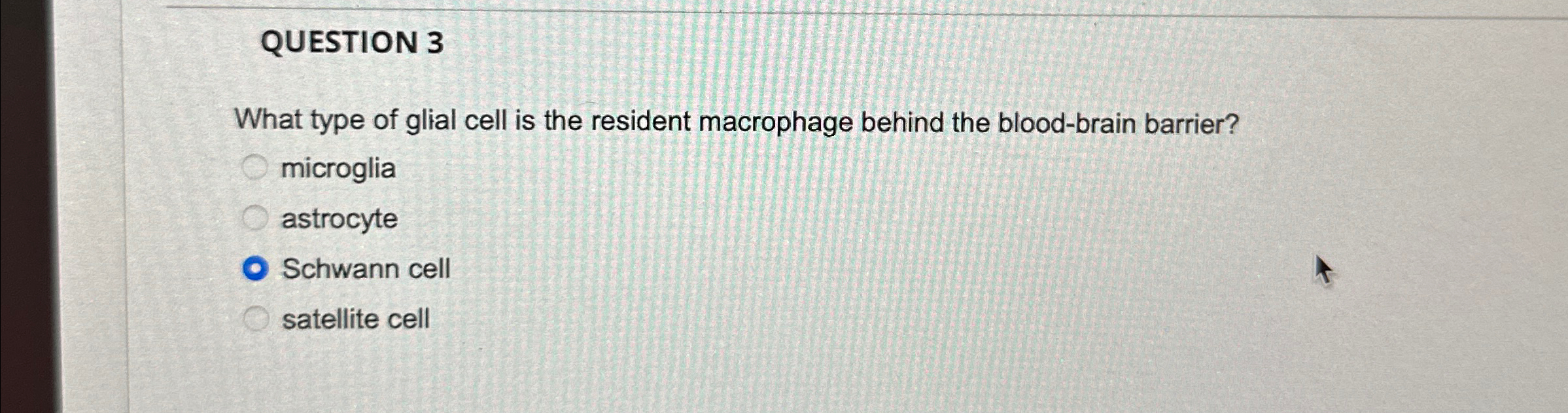 Solved QUESTION 3What type of glial cell is the resident | Chegg.com