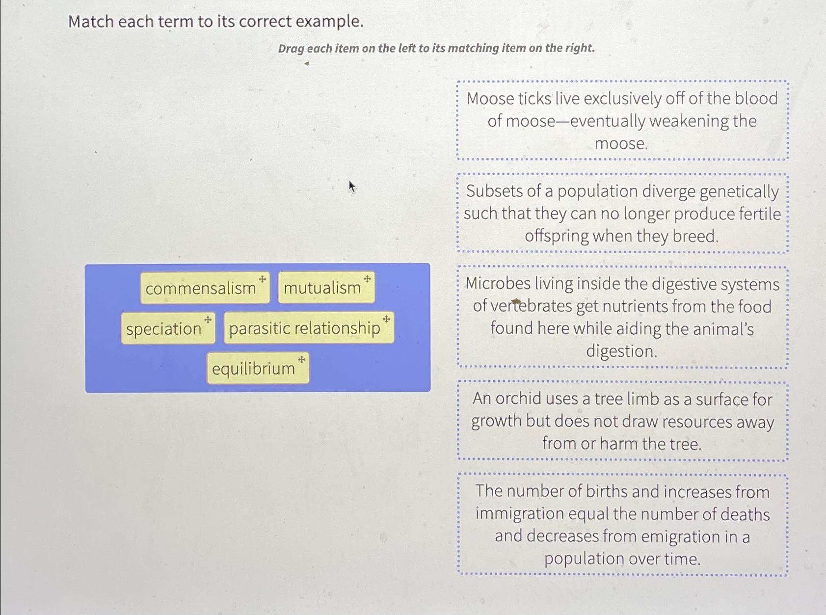 Solved Match each term to its correct example.Drag each item | Chegg.com
