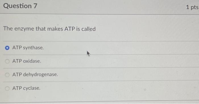 Solved The enzyme that makes ATP is called ATP synthase. ATP | Chegg.com
