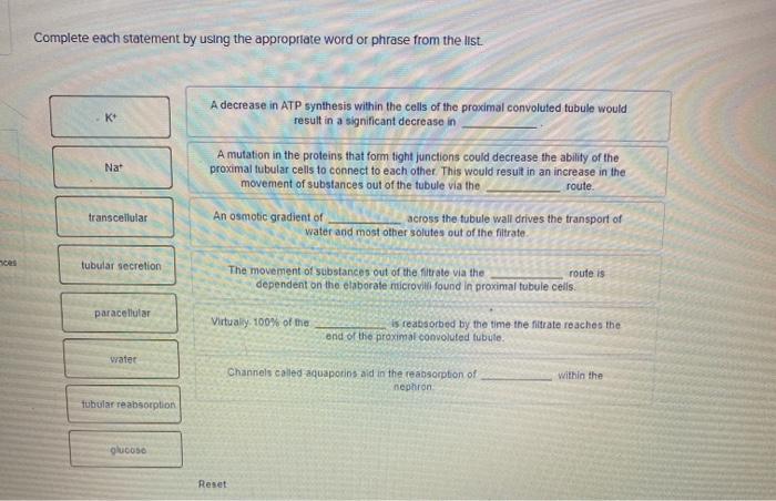 Solved Complete each statement by using the appropriate word | Chegg.com