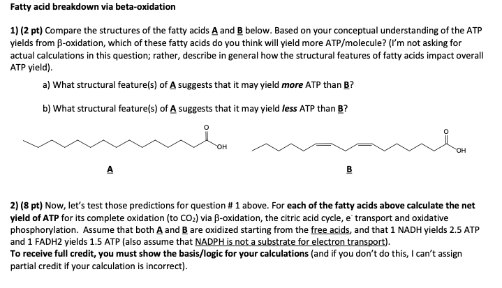 Solved Fatty acid breakdown via beta-oxidation(2 ﻿pt) | Chegg.com