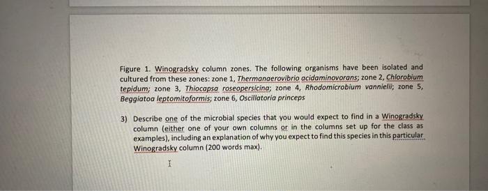 Solved Oxygen Air-water interface Figure 1. Winogradsky | Chegg.com