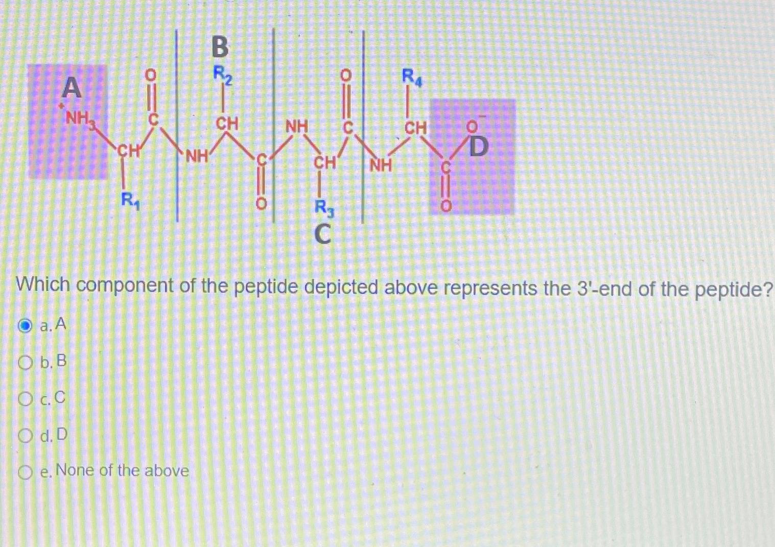 Solved Which component of the peptide depicted above | Chegg.com