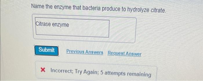 Solved Name the enzyme that bacteria produce to hydrolyze | Chegg.com