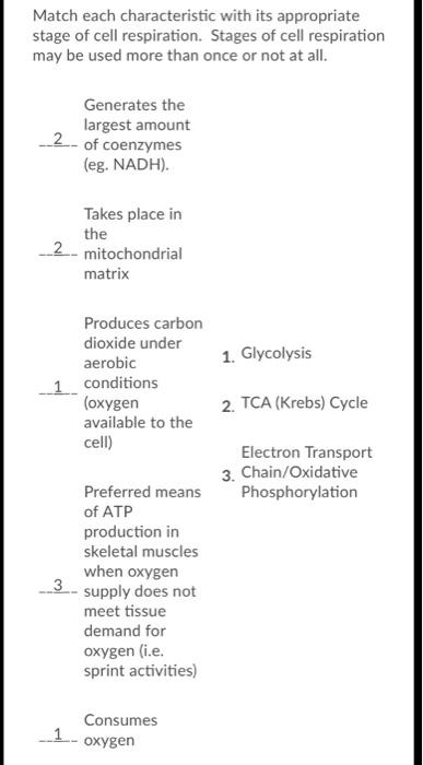 Solved Match each characteristic with its appropriate stage | Chegg.com