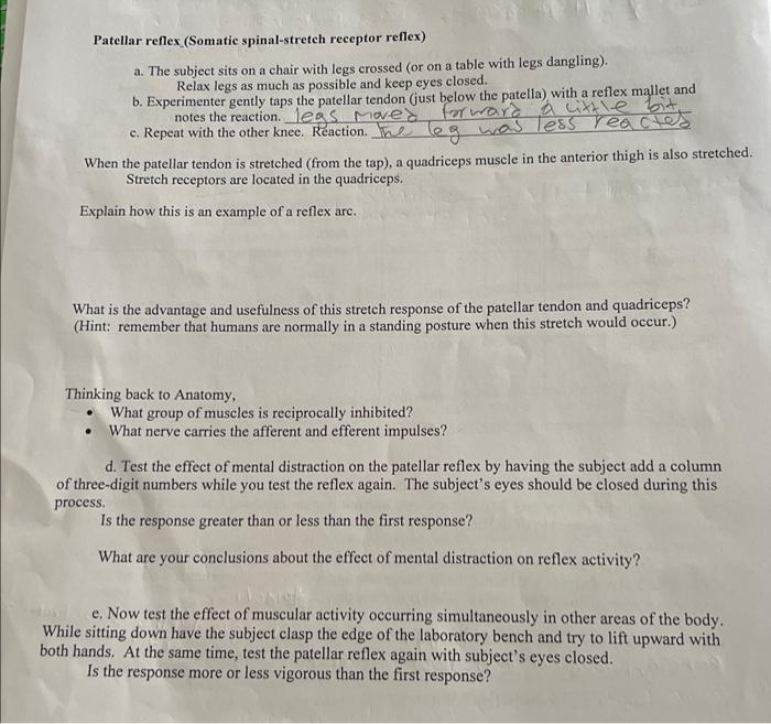 Solved Patellar reflex_(Somatic spinal-stretch receptor | Chegg.com