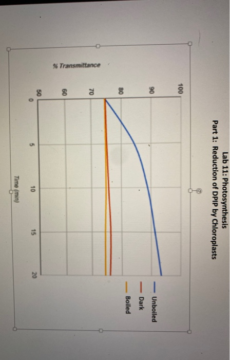 Solved using the graph, find the rate of photosynthesis for | Chegg.com