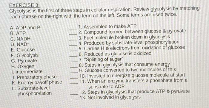 Solved Exercise 3 Glycolysis Is The First Of Three Steps In