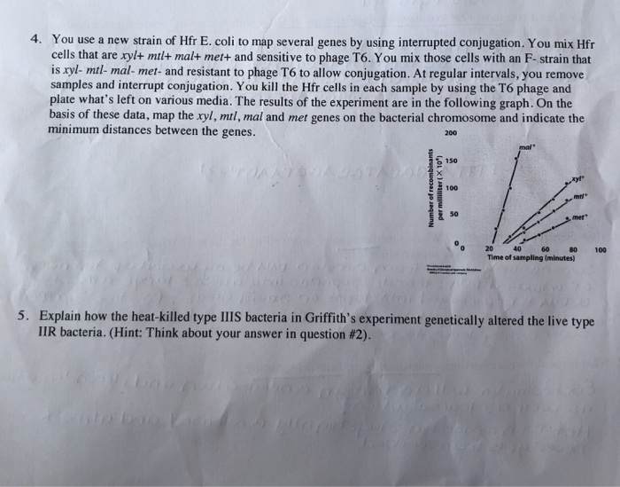 Solved 4. You use a new strain of Hfr E. coli to map several | Chegg.com