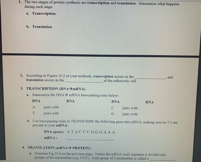Solved FIG 10.9: Summary of Gene Expression (Protein | Chegg.com