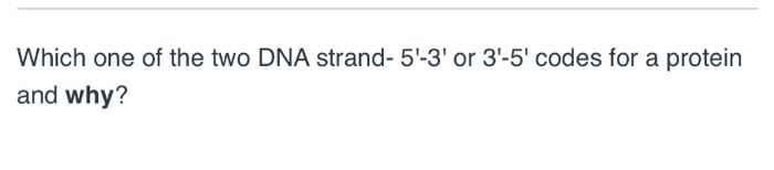 Solved Which one of the two DNA strand- 5'-3' or 3'-5' codes | Chegg.com