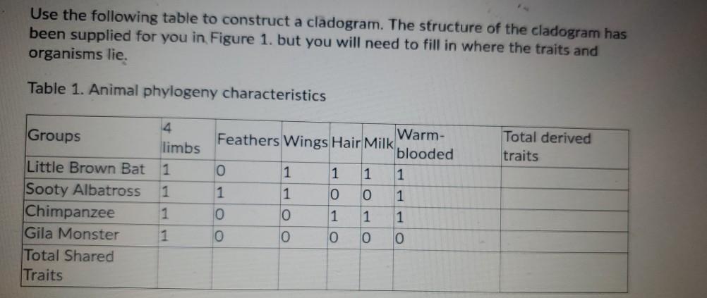 Solved Use the following table to construct a cladogram. The | Chegg.com