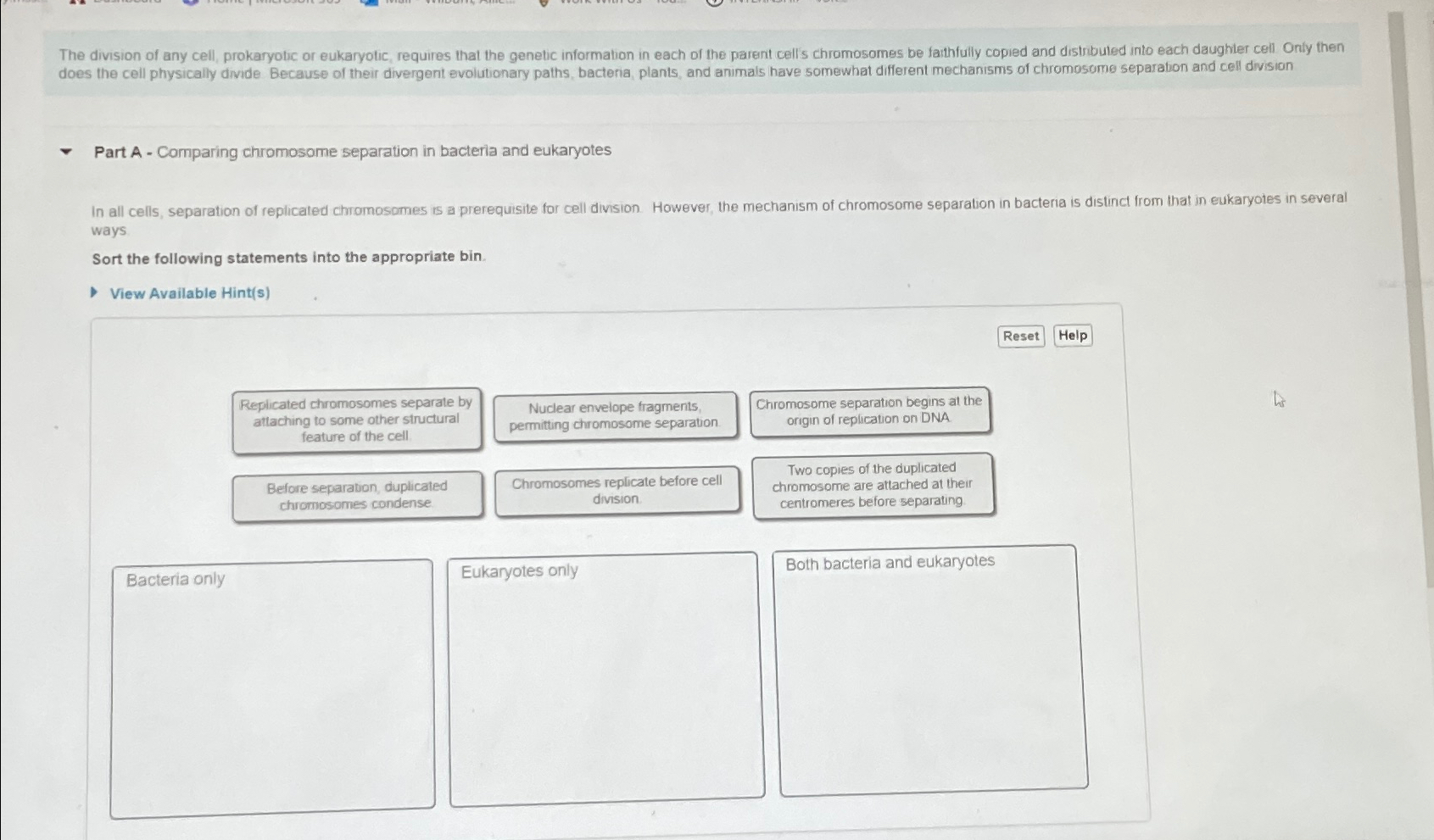 Part A - ﻿Comparing chromosome separation in bacteria | Chegg.com