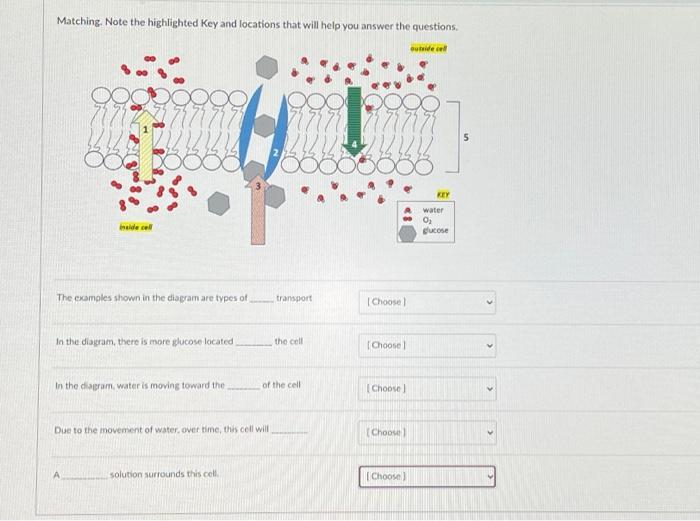 Solved Matching. Note the highlighted Key and locations that | Chegg.com