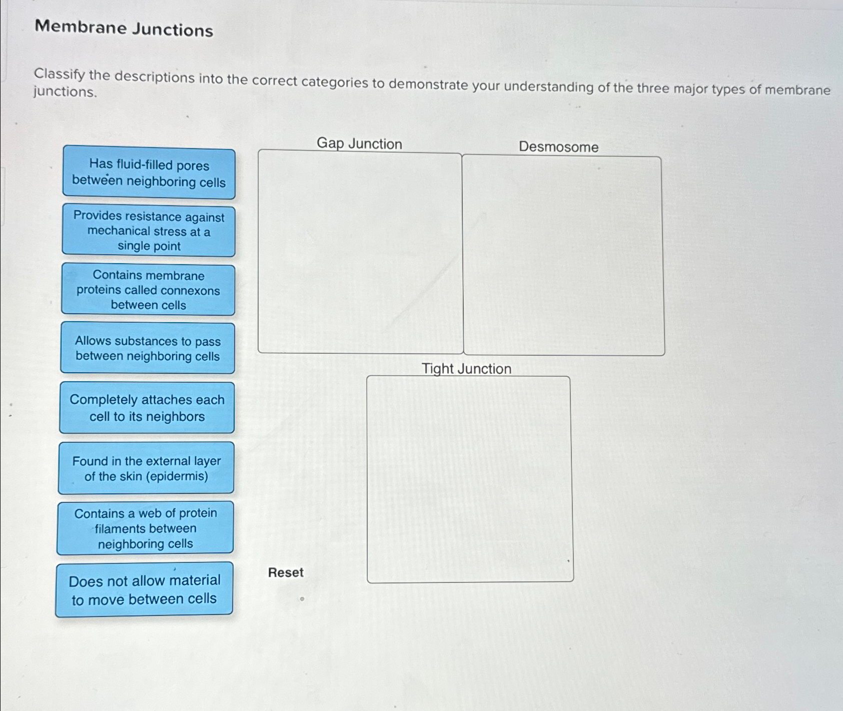 Solved Membrane JunctionsClassify the descriptions into the | Chegg.com