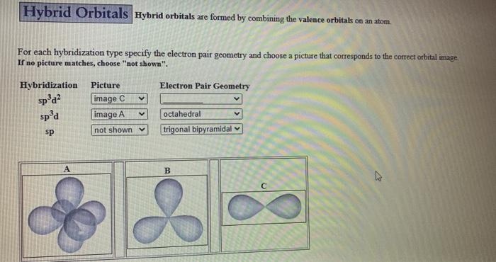 Solved Hybrid Orbitals Hybrid orbitals are formed by | Chegg.com