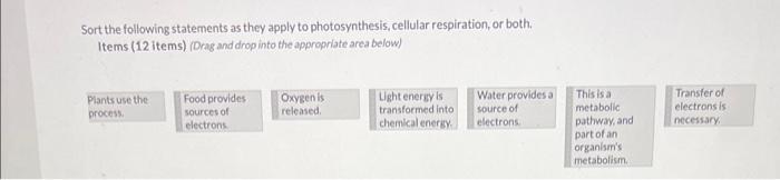 Solved Sort the following statements as they apply to | Chegg.com