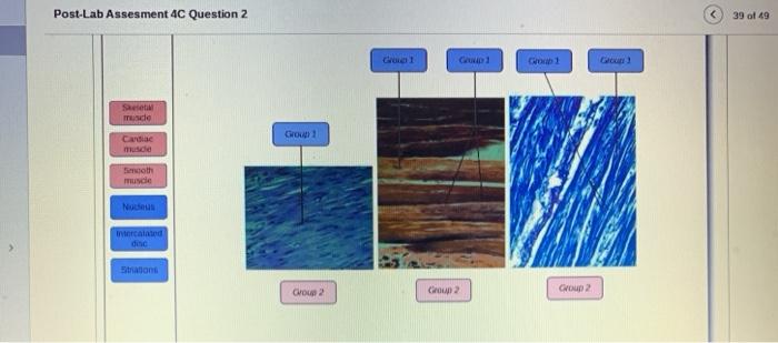 Solved Post-Lab Assesment 4C Question 2 39 of 49 Gr1 G1 | Chegg.com