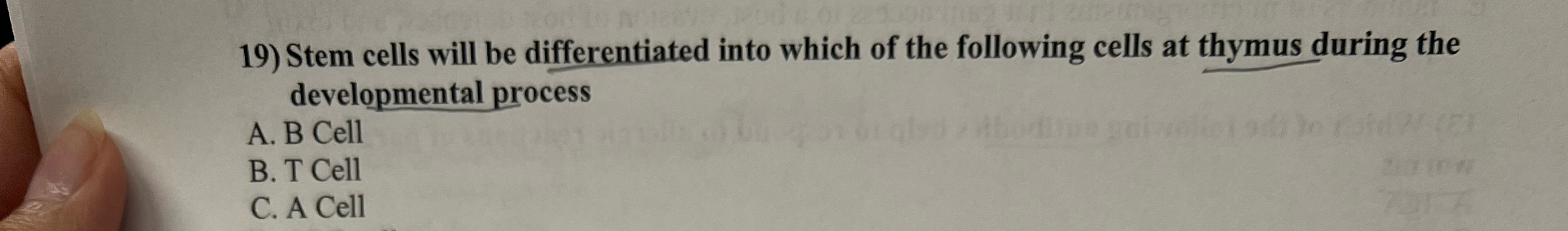 Solved Stem cells will be differentiated into which of the | Chegg.com