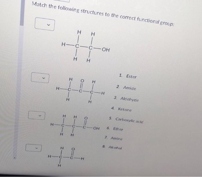 Solved Match the following structures to the correct | Chegg.com