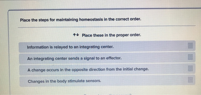 Solved Place the steps for maintaining homeostasis in the | Chegg.com