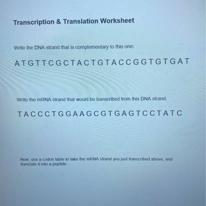 Solved Transcription & Translation Worksheet Write the DNA | Chegg.com