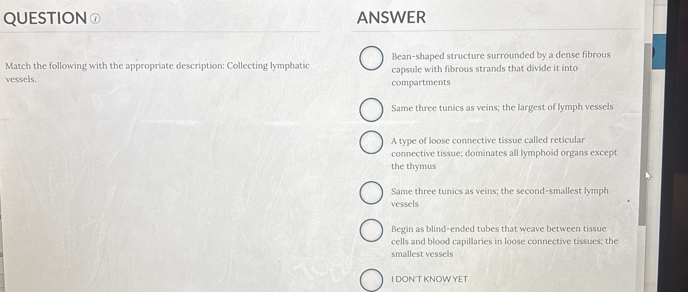 Solved QUESTIONANSWERMatch the following with the | Chegg.com