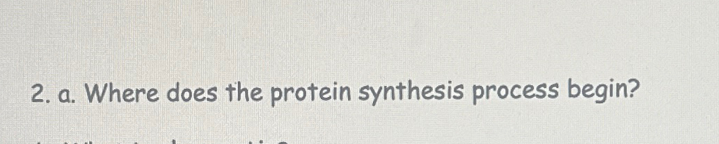 Solved a. ﻿Where does the protein synthesis process begin? | Chegg.com