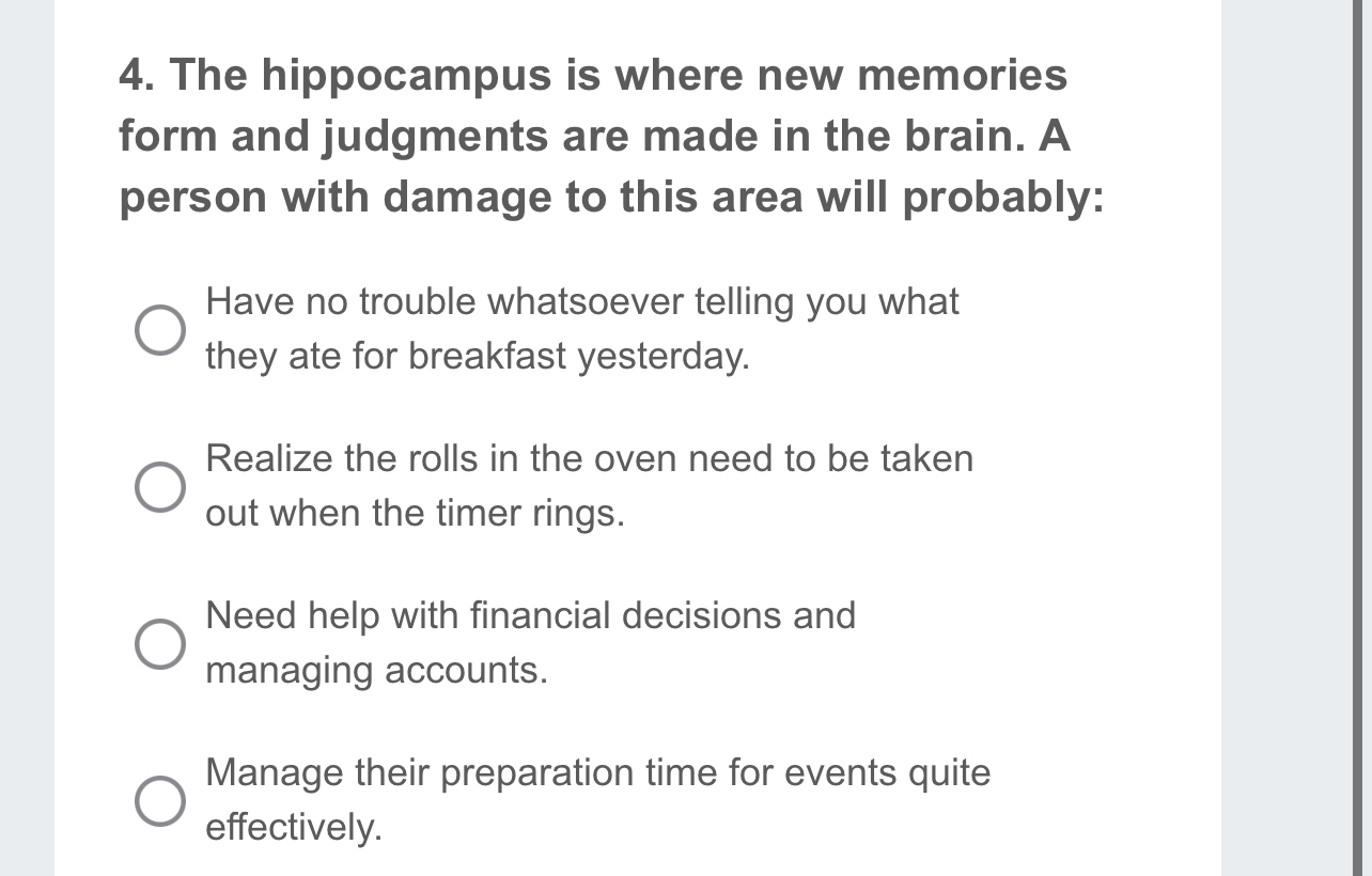 High Quality SOLUTION The hippocampus is where new memories form and | Chegg.com