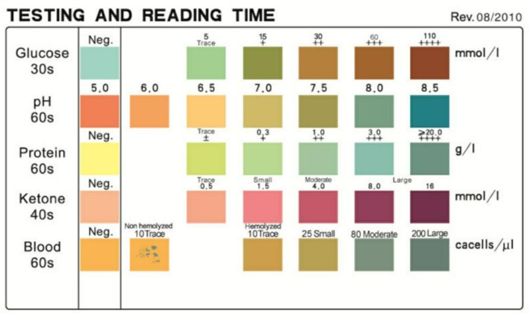 Solved Rev. 08/2010 Trace 30 60 +++ 110 ++++ mmol/l TESTING | Chegg.com