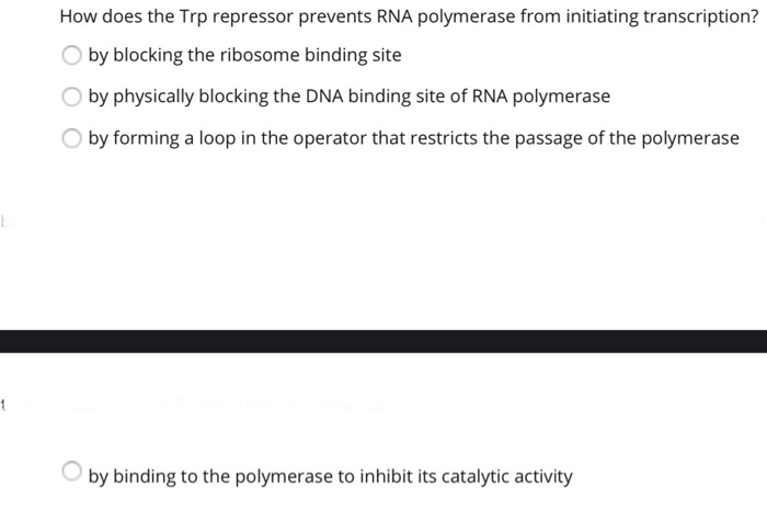 Solved How does the Trp repressor prevents RNA polymerase | Chegg.com