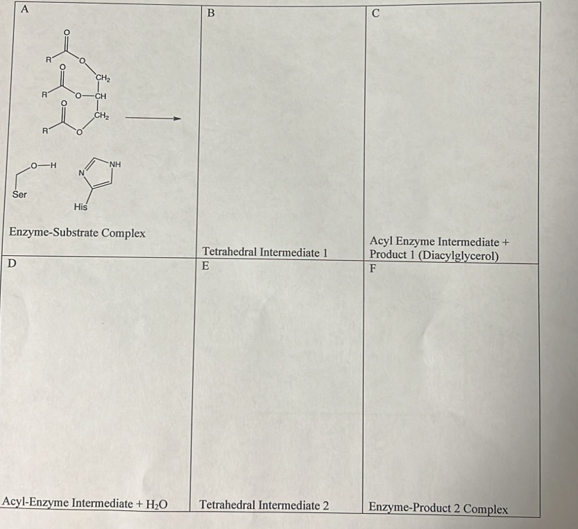 Please draw the following structures, I need help | Chegg.com