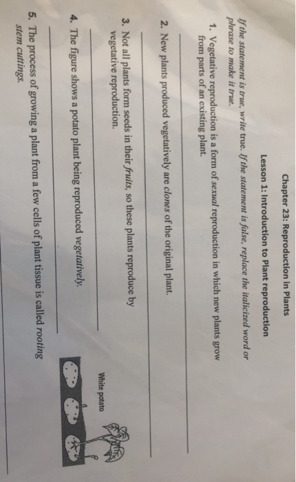 Solved Chapter 23: Reproduction in Plants Lesson 1: | Chegg.com