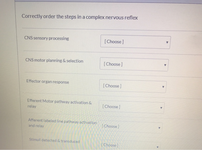 Solved Correctly order the steps in a complex nervous reflex | Chegg.com