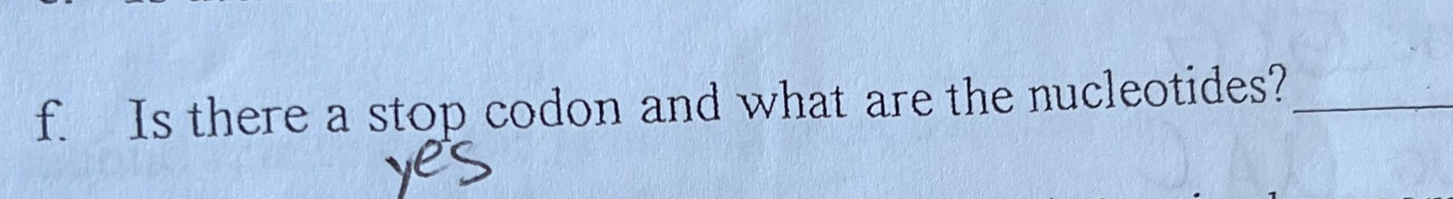 Solved f. ﻿Is there a stop codon and what are the | Chegg.com