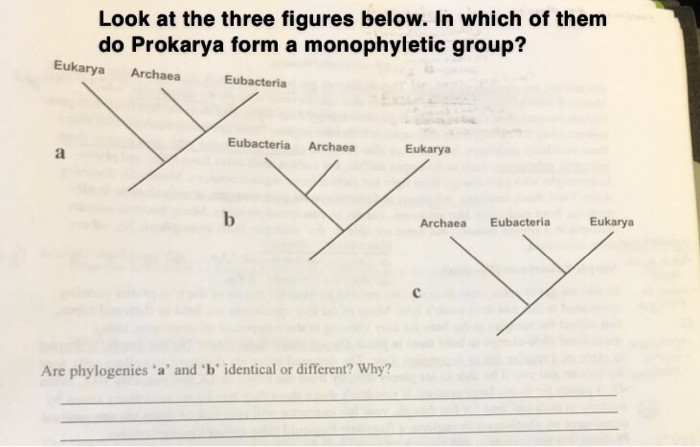 Solved Look at the three figures below. In which of them do | Chegg.com