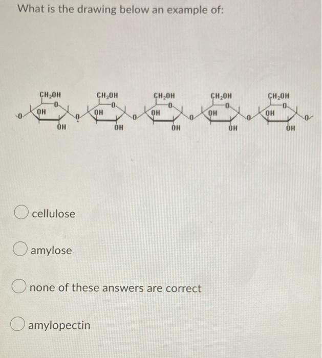 Solved What is the drawing below an example of: cellulose | Chegg.com