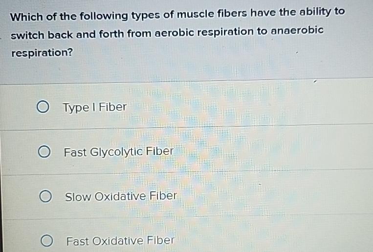 Solved Which of the following types of muscle fibers have | Chegg.com
