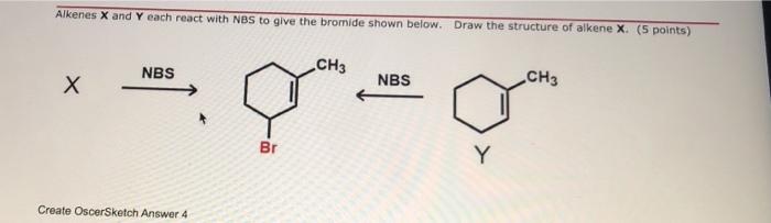 Solved Alkenes X and Y each react with NBS to give the | Chegg.com
