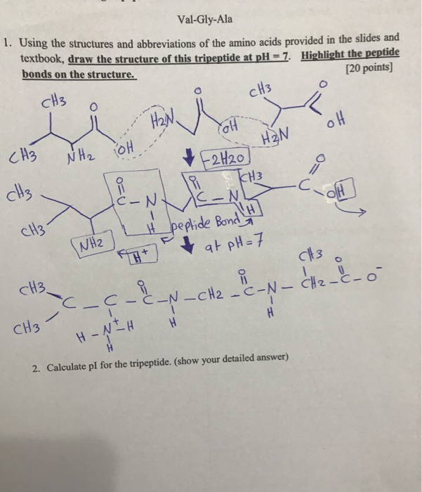 Solved Val-Gly-Ala 1. Using the structures and abbreviations | Chegg.com