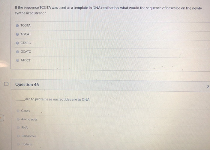 Solved How many different types of bases are used to encode | Chegg.com