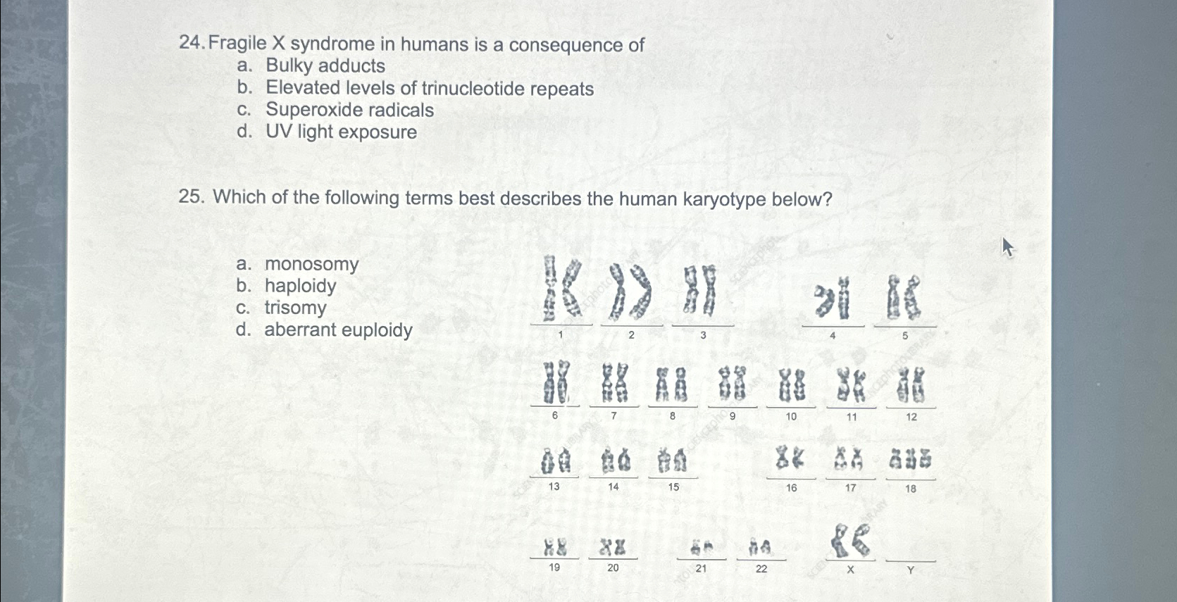 Solved Fragile x ﻿syndrome in humans is a consequence ofa. | Chegg.com
