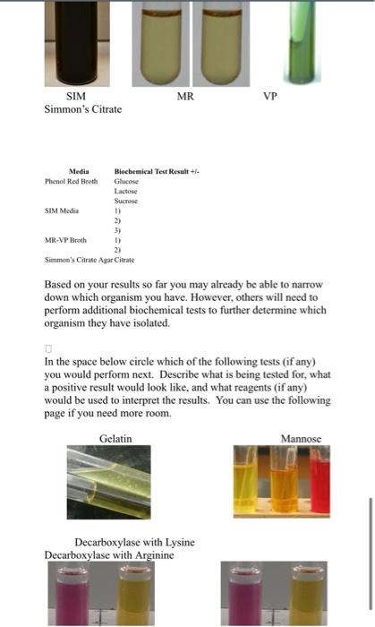 Laboratory Exercise 13: Bacterial Isolation and | Chegg.com