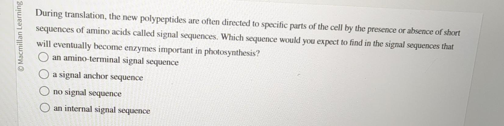 Solved Dู ﻿During translation, the new polypeptides are | Chegg.com