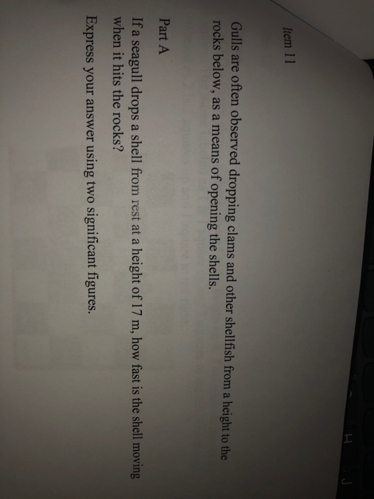 Solved Item 10 An expectant father paces back and forth, | Chegg.com