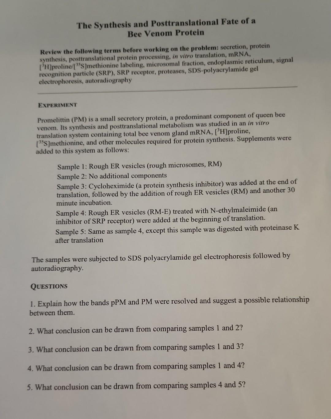 Solved The Synthesis and Posttranslational Fate of a Bee | Chegg.com