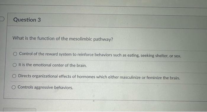 Solved What is the function of the mesolimbic pathway? | Chegg.com